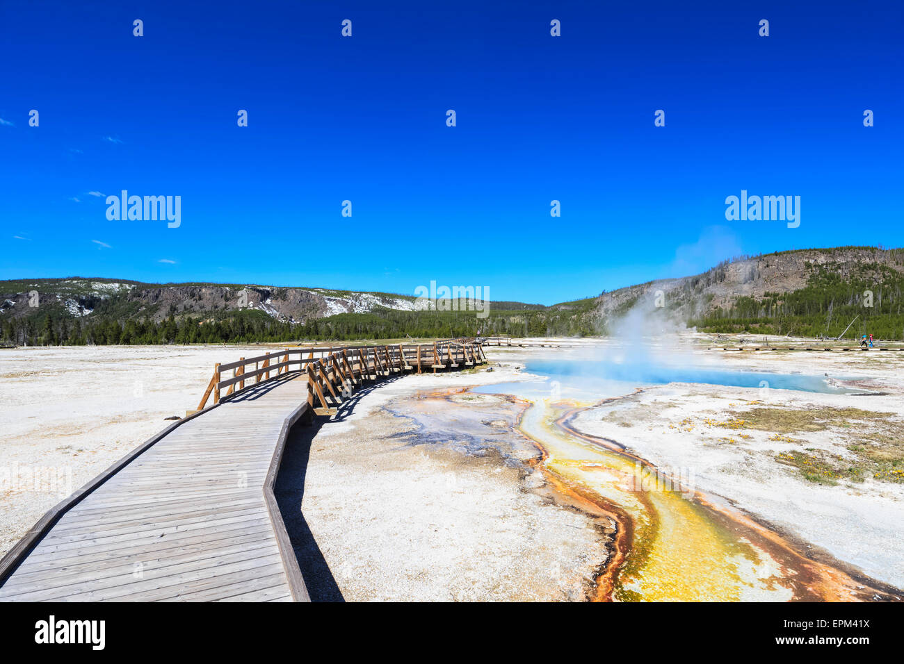 USA, Yellowstone National Park, Bisuit Basin, Sapphire Pool, drain with ...