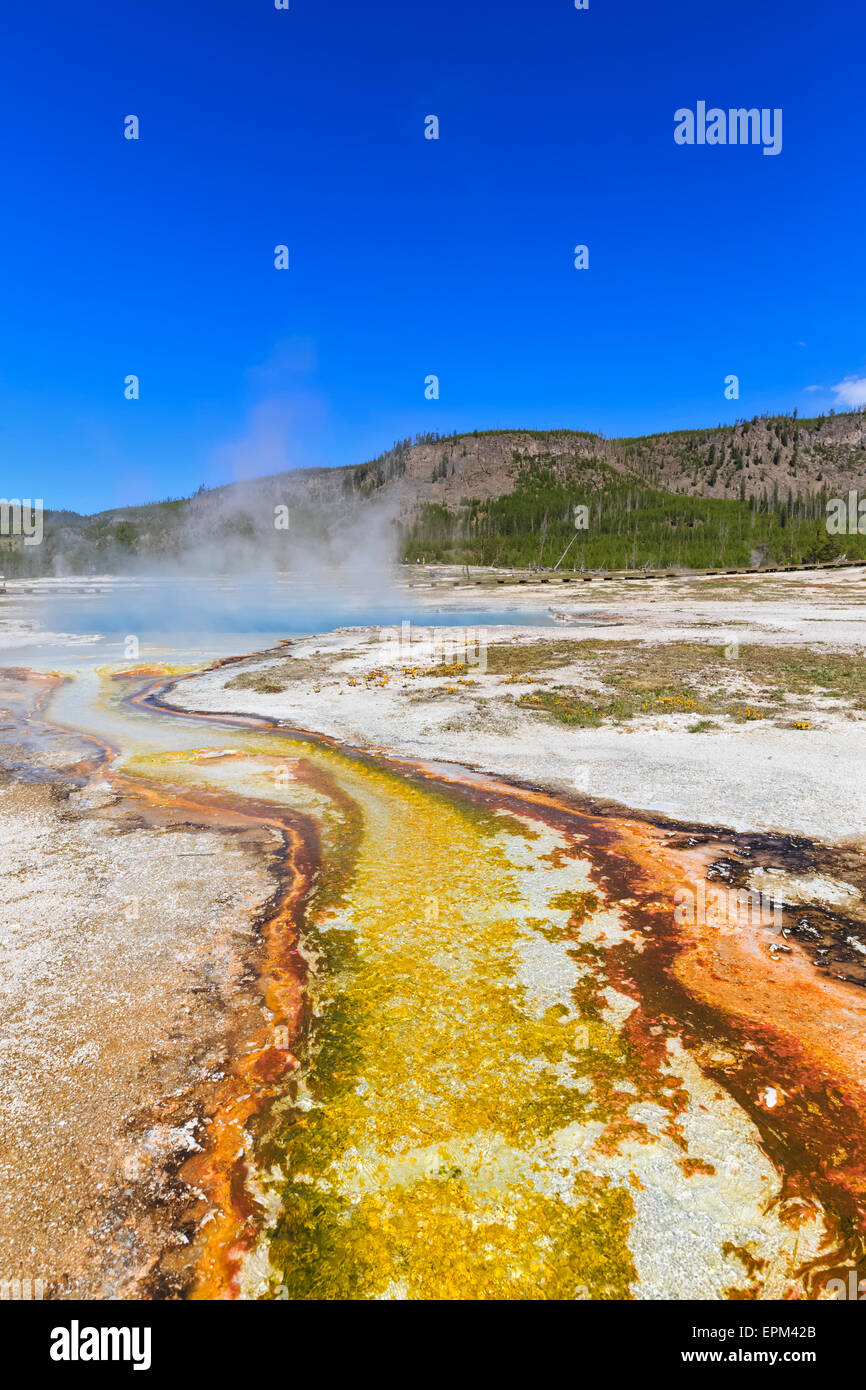 USA, Yellowstone National Park, Bisuit Basin, Sapphire Pool, drain with ...