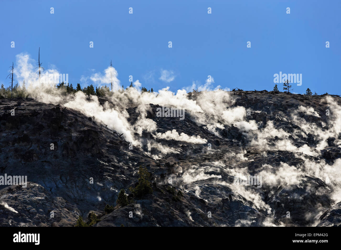 USA, Yellowstone National Park, Mountian, Forest fire Stock Photo - Alamy