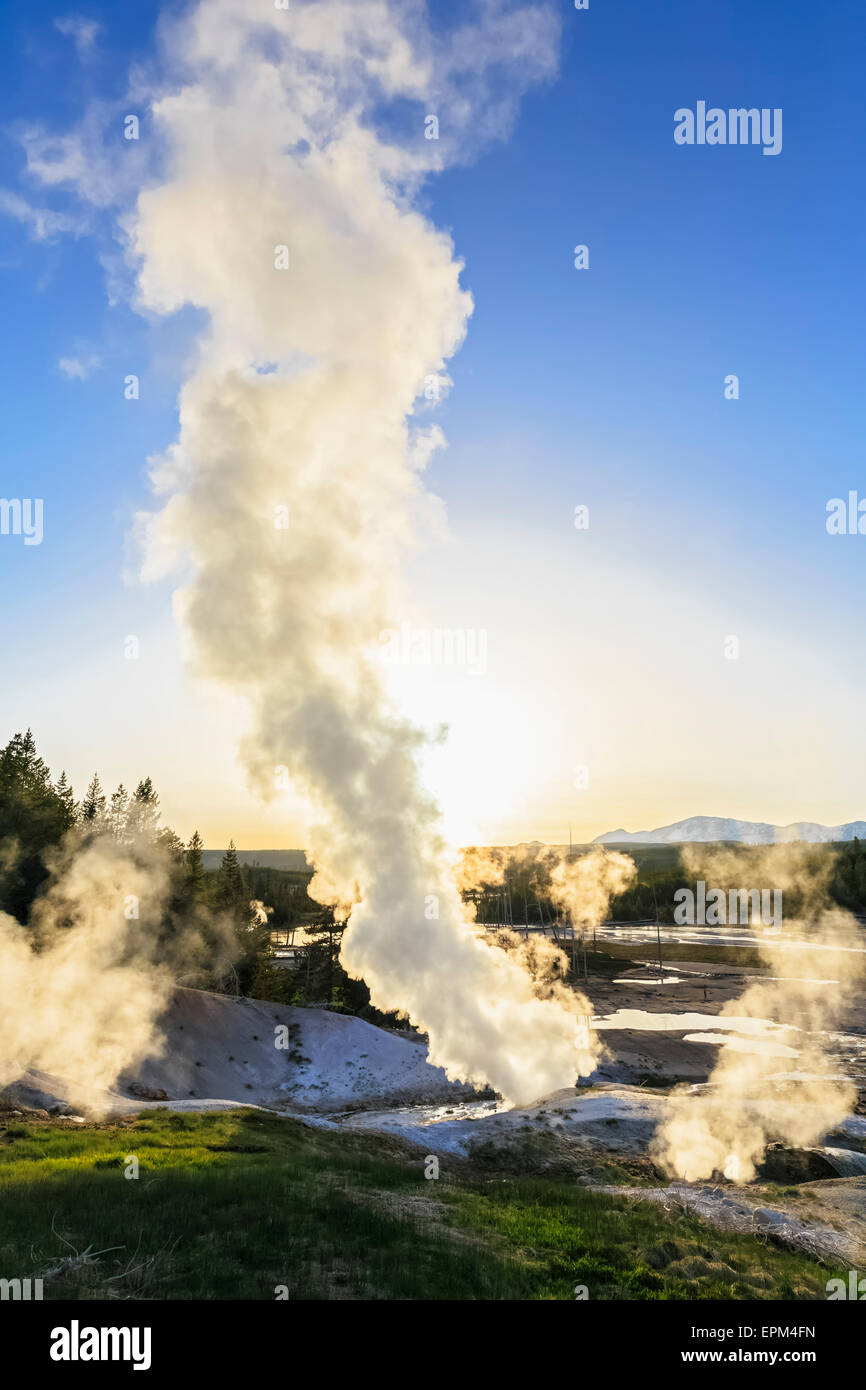 USA, Wyoming, Yellowstone National Park, Norris Geyser Basin, Ledge ...