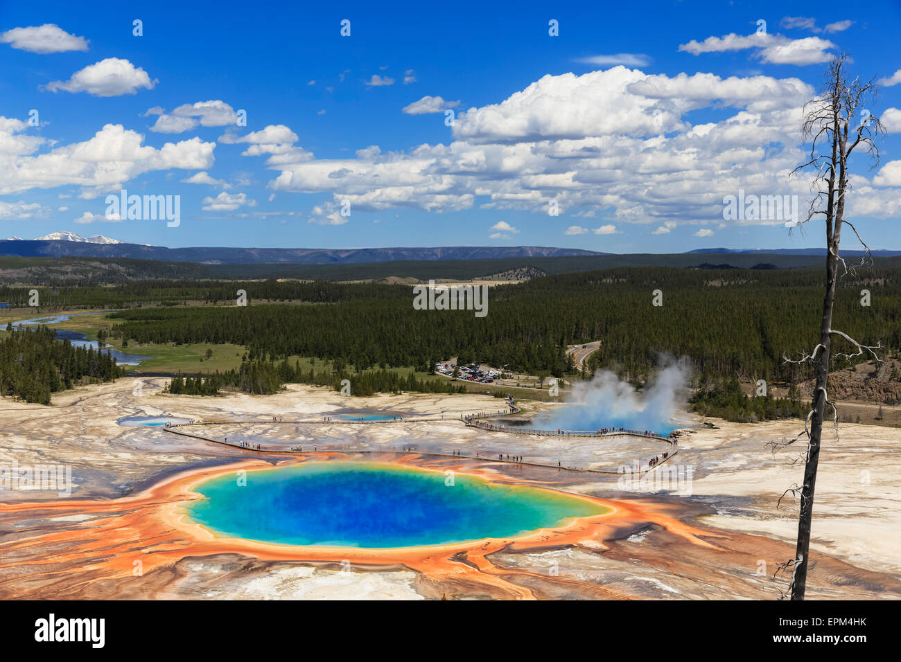 USA, Yellowstone National Park, Lower Geyser Basin, Midway Geyser Basin ...