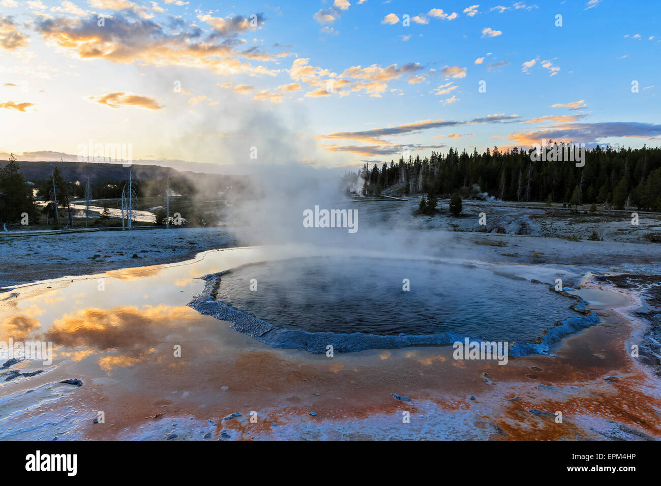 USA, Wyoming, Yellowstone National Park, Upper Geyser Basin, Crested ...