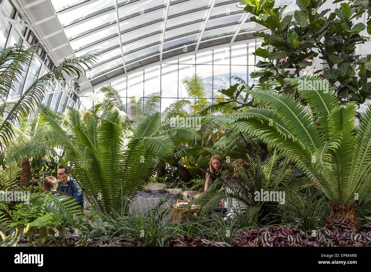 Sky Gardens, Walkie Talkie Tower Fenchurch Street London EC3 Stock ...