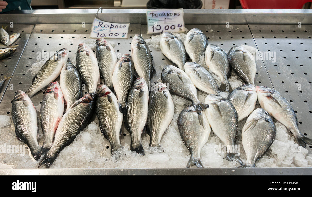 dead freh dorade fish on the market in portugal Stock Photo - Alamy