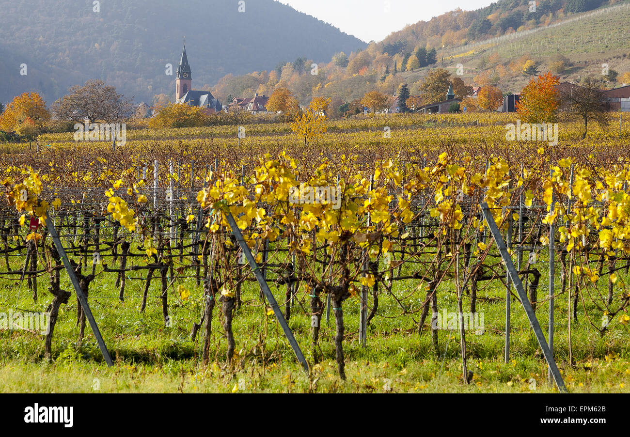 Views over vineyards to Sankt Martin Stock Photo - Alamy