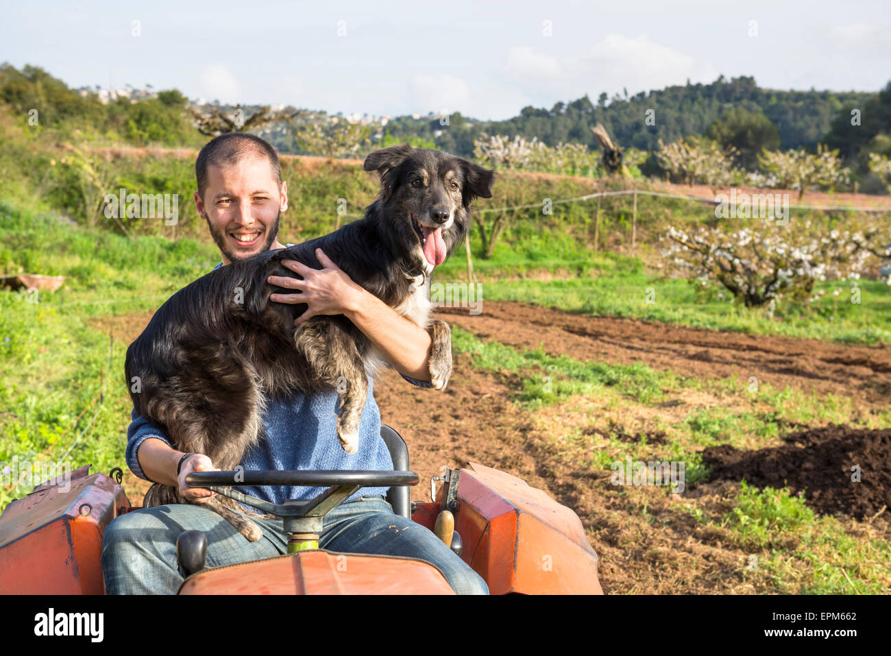 Dog driving tractor hi-res stock photography and images - Alamy