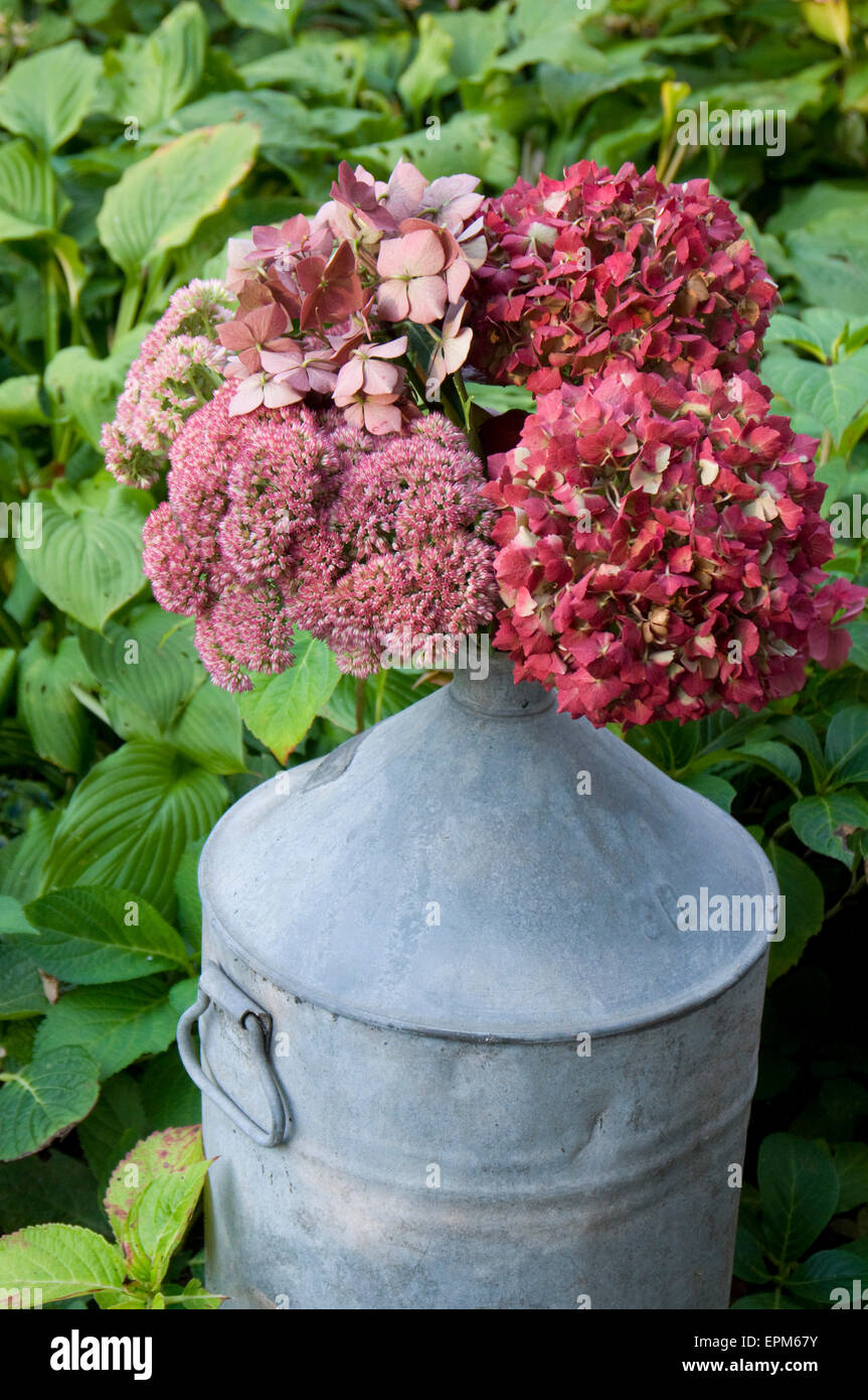 Hydrangea and cauliflower mushroom in a zinc jug Stock Photo - Alamy