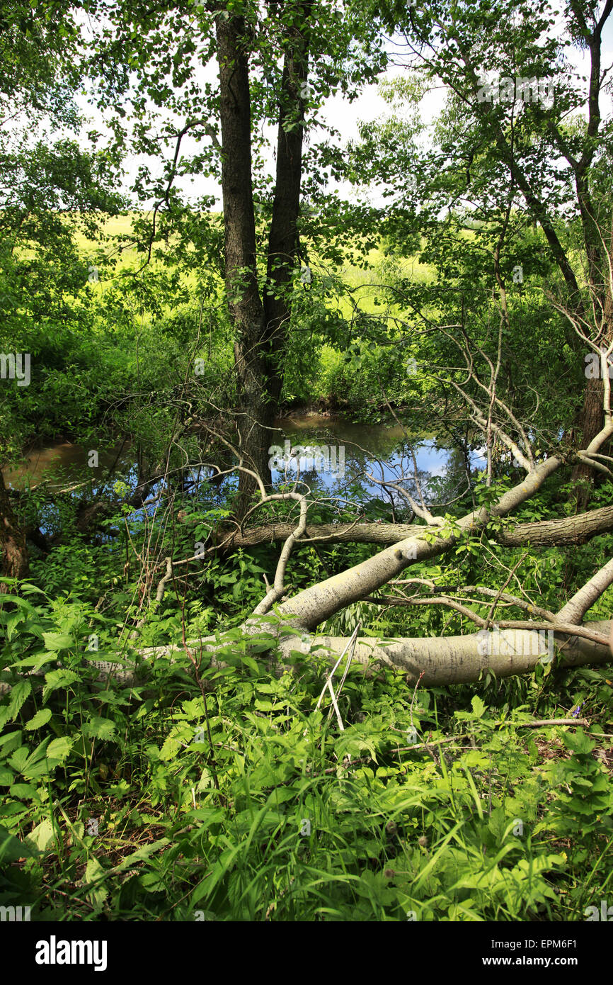 Russian nature hi-res stock photography and images - Alamy