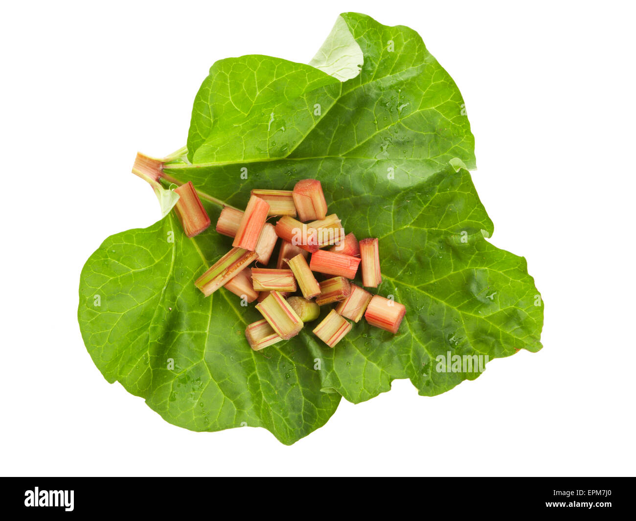 Stalk leaf hi-res stock photography and images - Alamy