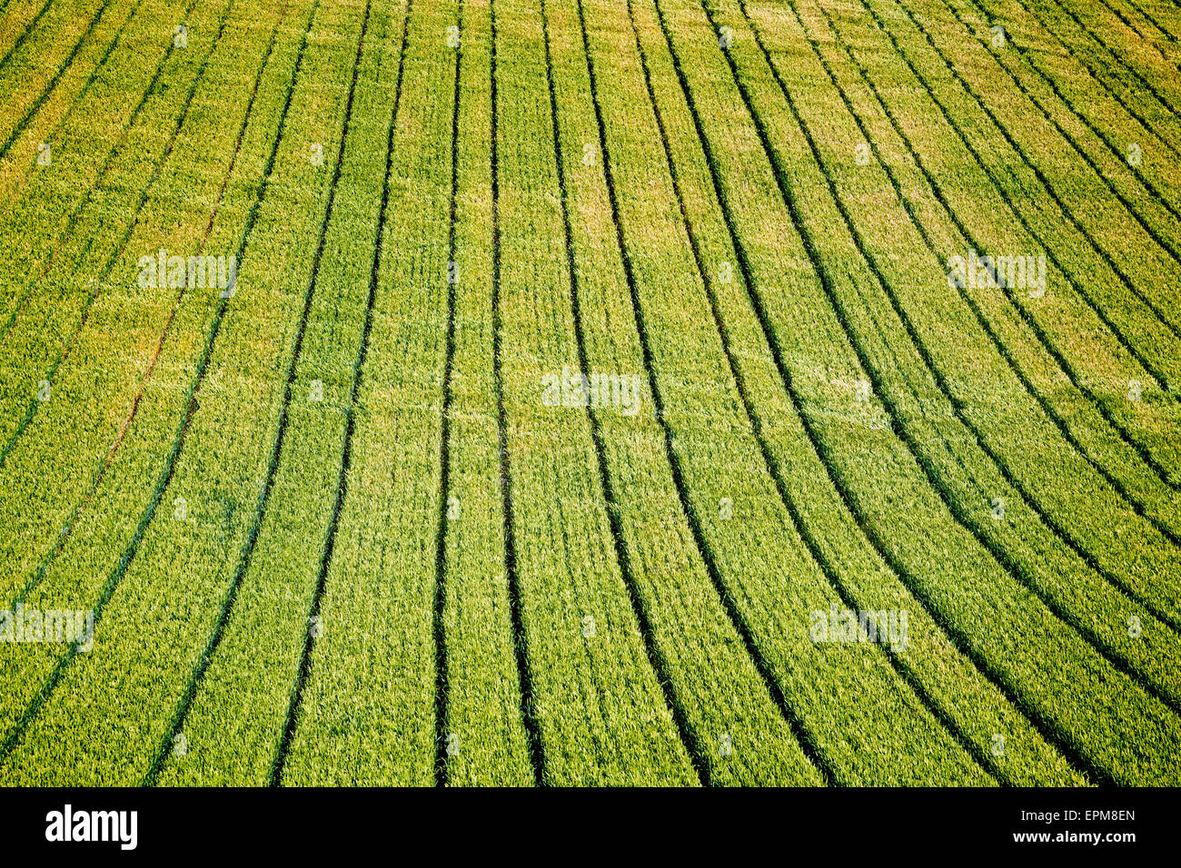 Picardy farm hi-res stock photography and images - Alamy