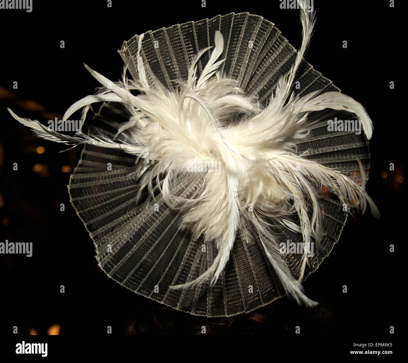 Plume hat hi-res stock photography and images - Alamy