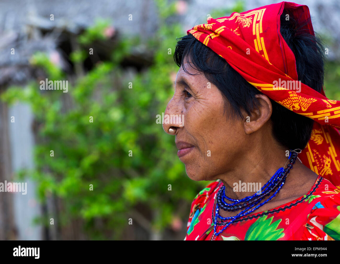 Panama, San Blas Islands, Mamitupu, Profile Of A Portrait Of Kuna Tribe ...