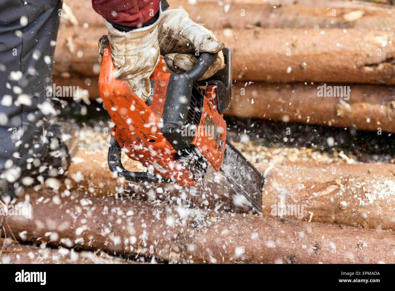 Germany, Muehlenbach, logger's hands sawing tree trunk with motor saw ...