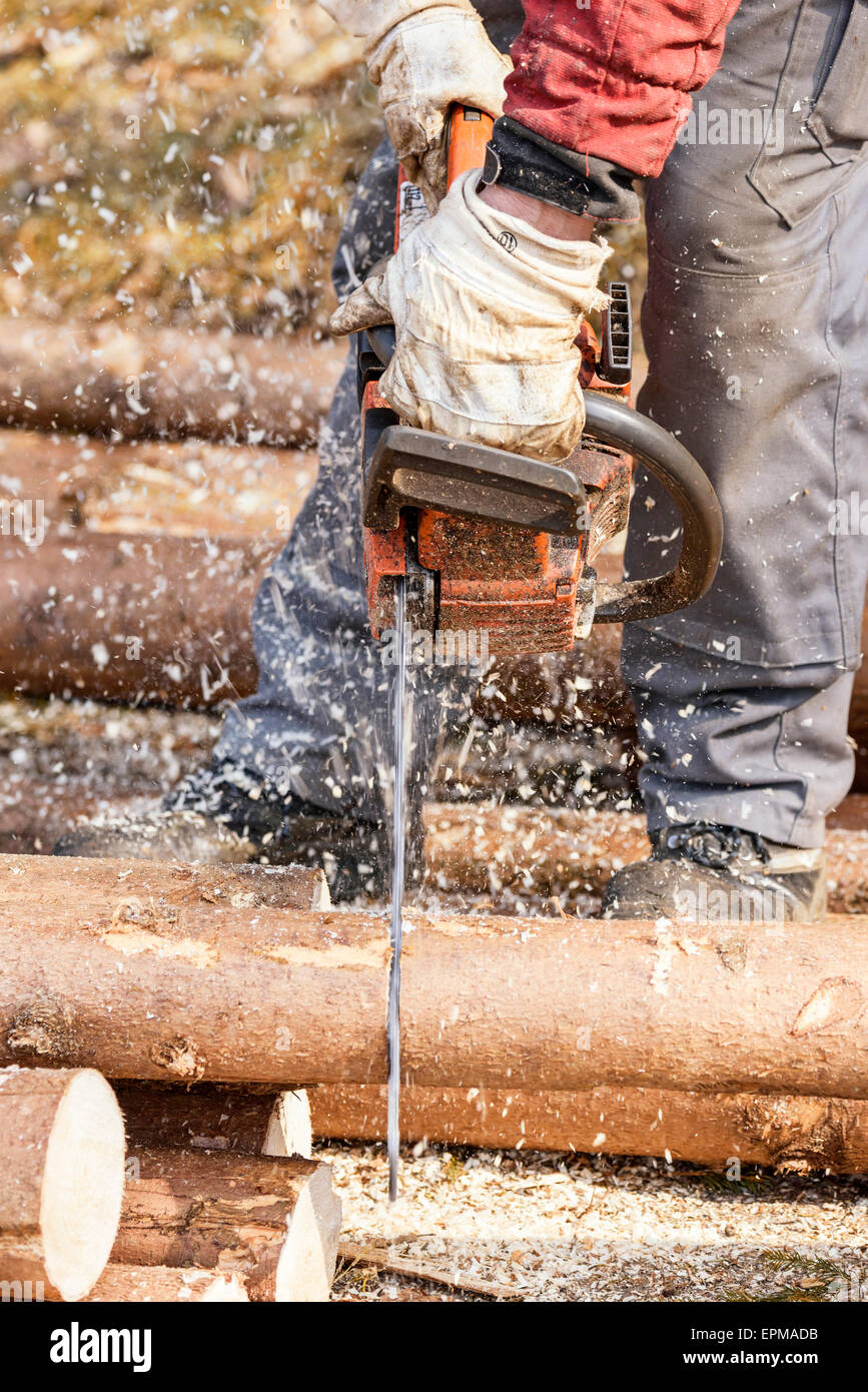Logger And Saw And Tree High Resolution Stock Photography and Images ...