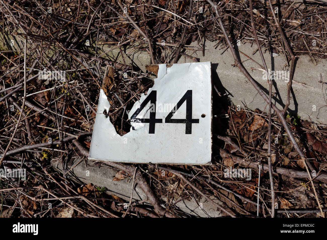 Weird weeds hi-res stock photography and images - Alamy
