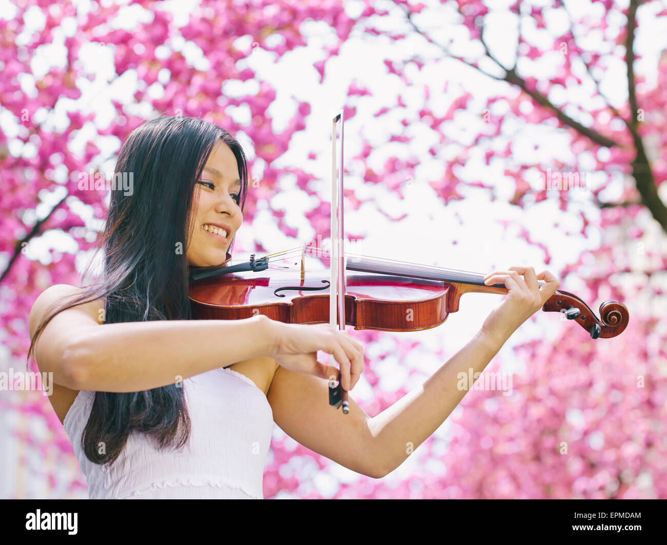 Female viola player in front of blossoming cherry tree Stock Photo - Alamy