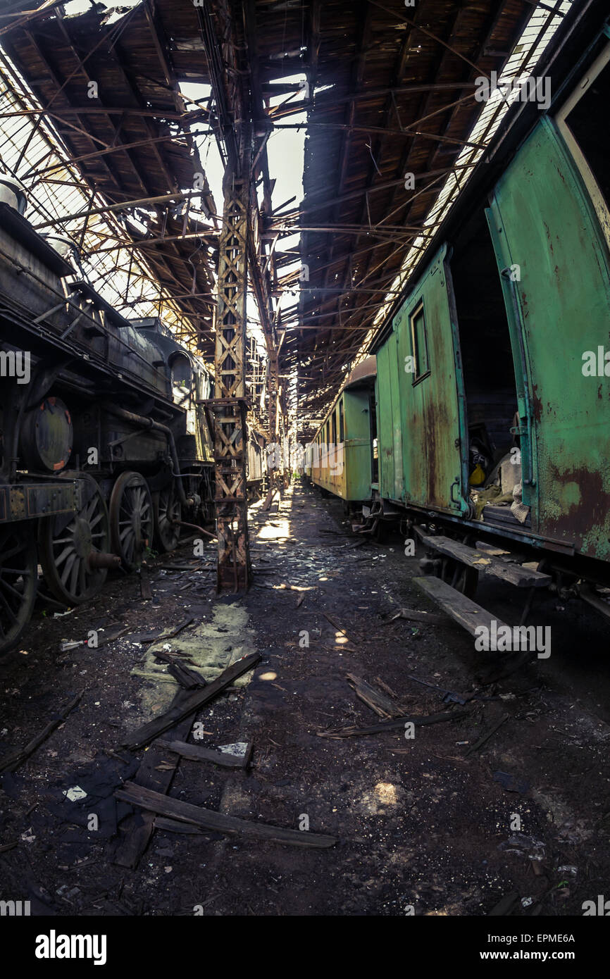 Old trains at abandoned train depot Stock Photo - Alamy
