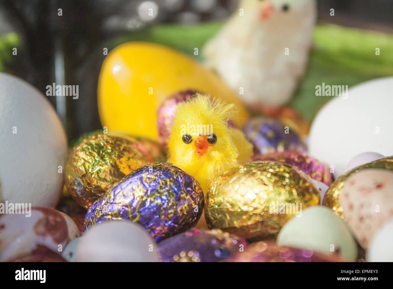 Eastern chicken, between eastern eggs, in a basket Stock Photo - Alamy