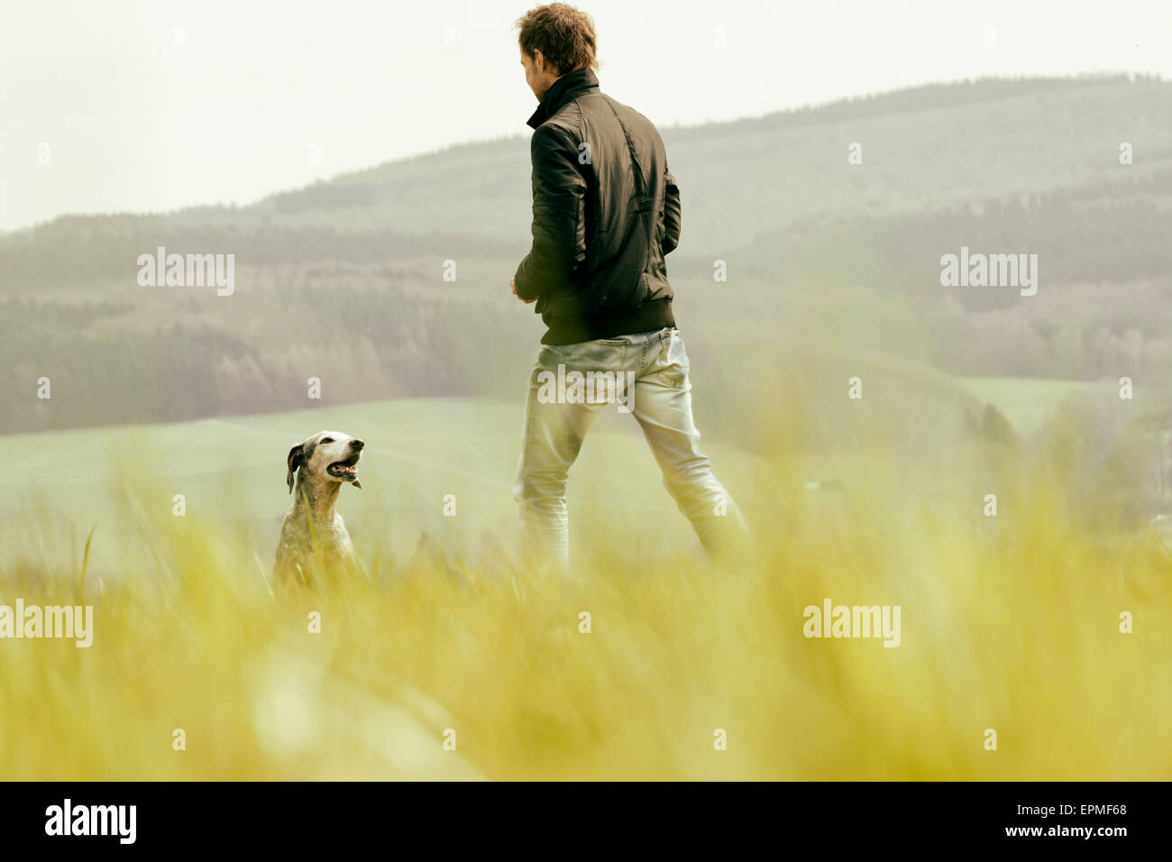 Man with dog on meadow Stock Photo - Alamy