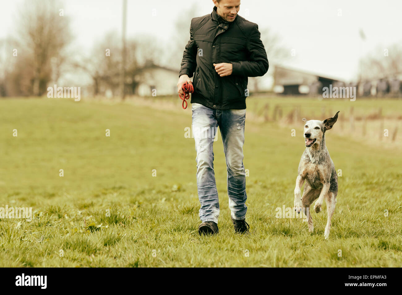 Man exercising with dog on meadow Stock Photo - Alamy