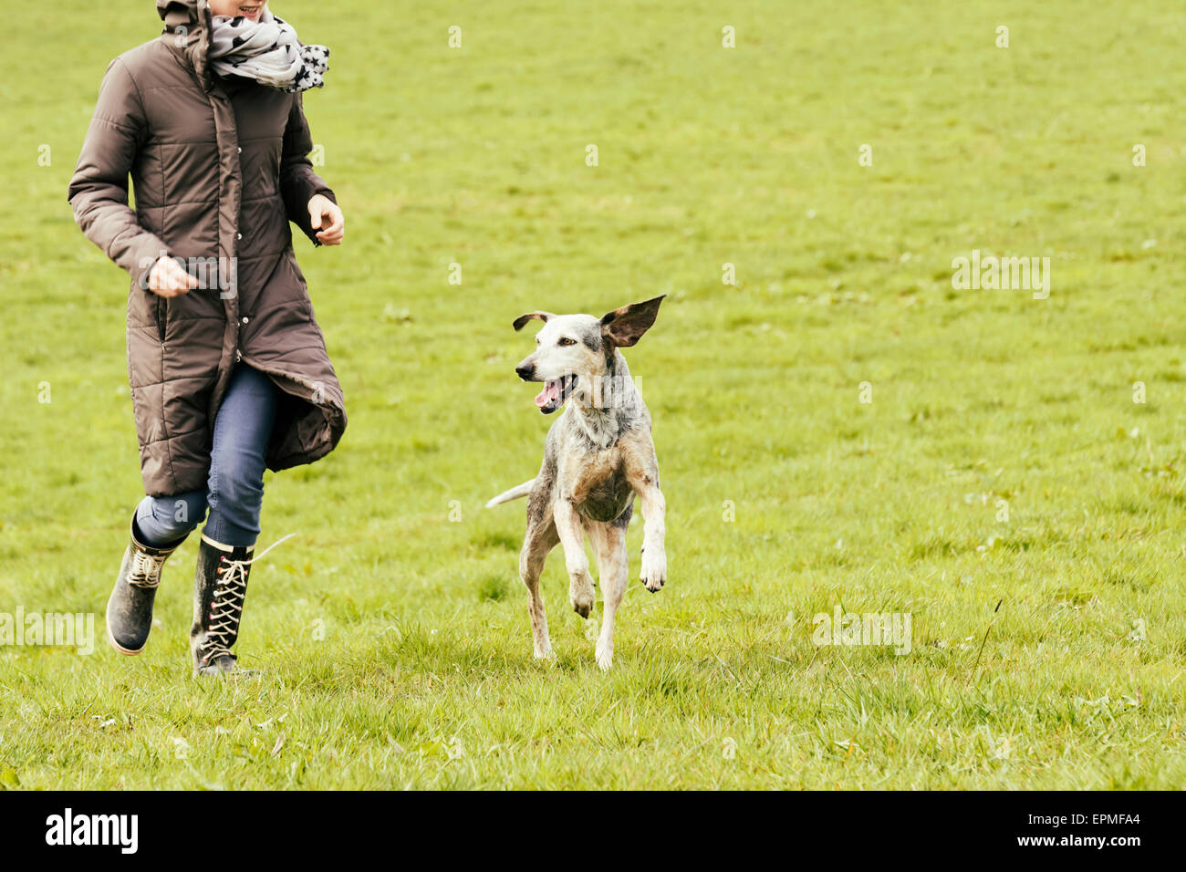 Woman running with dog on meadow Stock Photo - Alamy