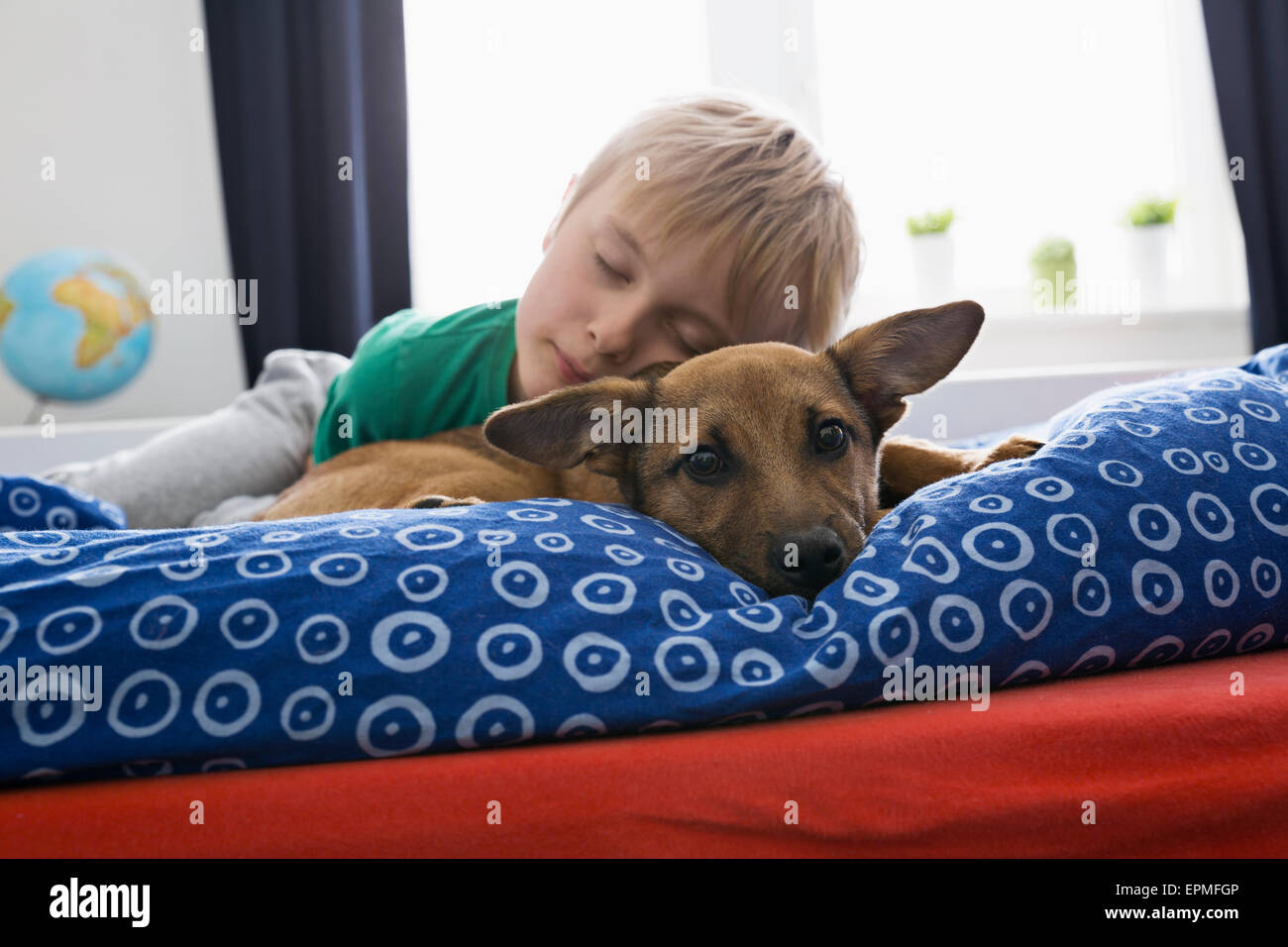 Boy cuddling dog blanket hi-res stock photography and images - Alamy