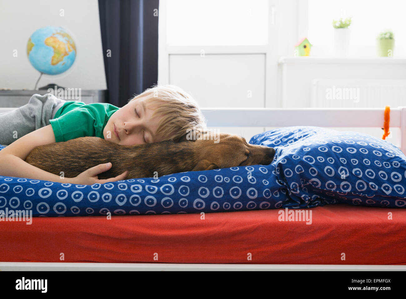 Boy cuddling dog blanket hi-res stock photography and images - Alamy