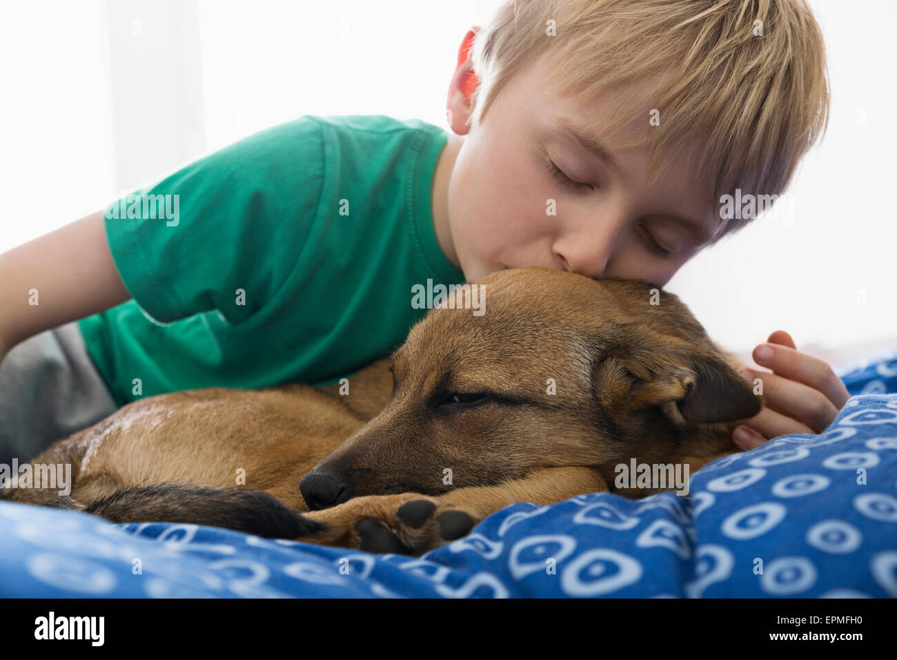Boy and dog cuddling on bed Stock Photo - Alamy