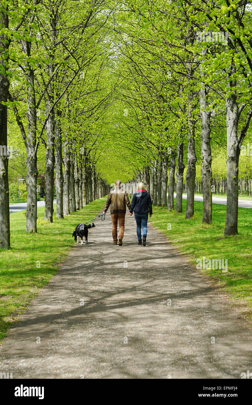 Tree behind dog hi-res stock photography and images - Alamy