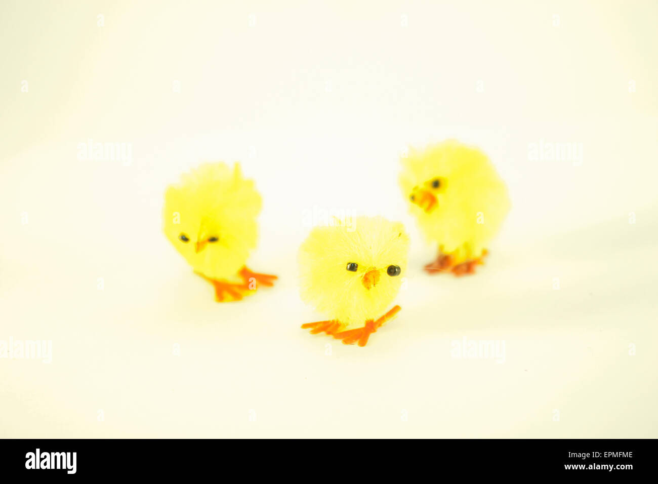 Chicken family tree hi-res stock photography and images - Alamy