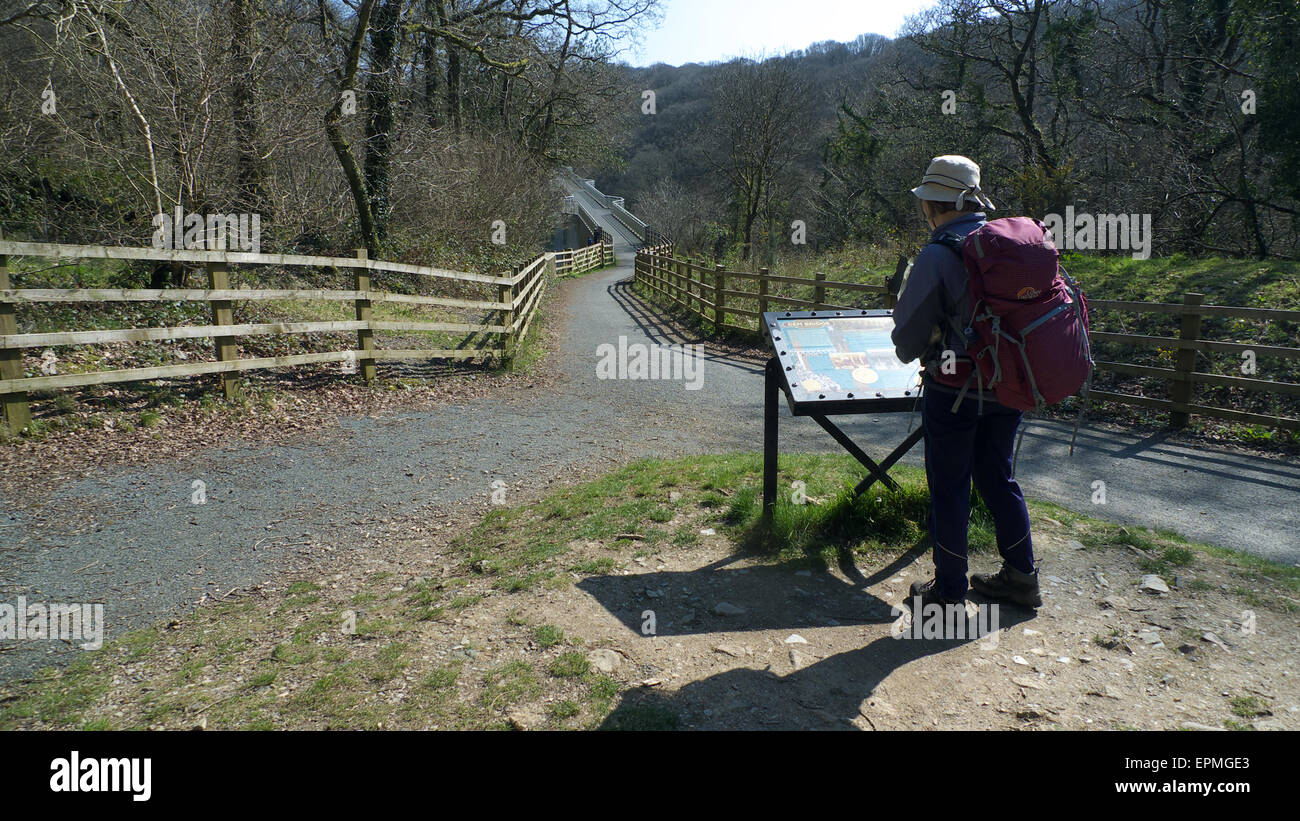 Looking south at Drake's Trail National Cycle Network Route 27, Devon ...