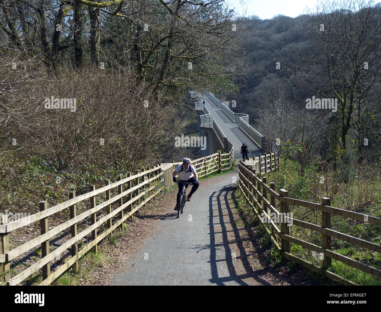 Looking south at cyclists on Drake's Trail National Cycle Network Route ...