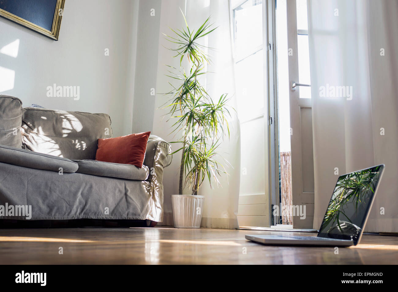 Laptop standing on wooden floor of a living room Stock Photo - Alamy