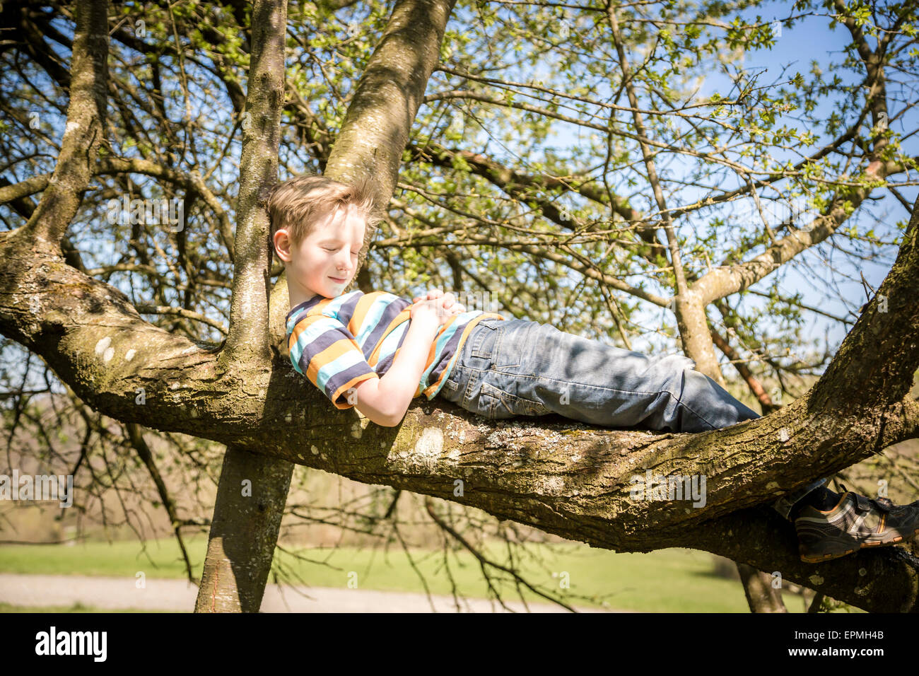 Boy relaxing on a branch at sunlight Stock Photo - Alamy