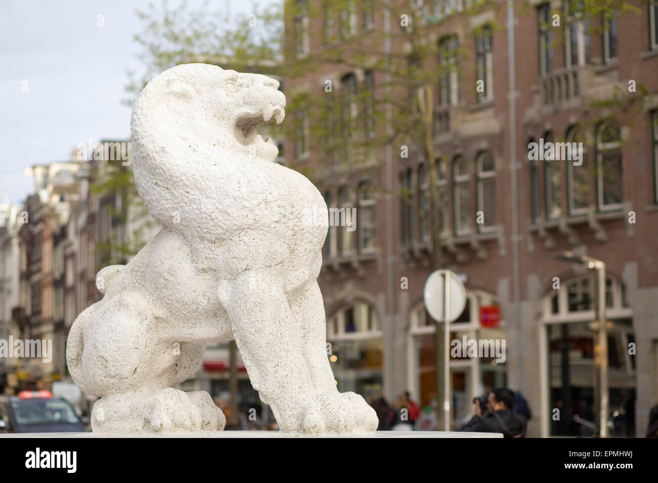 White lion square hi-res stock photography and images - Alamy