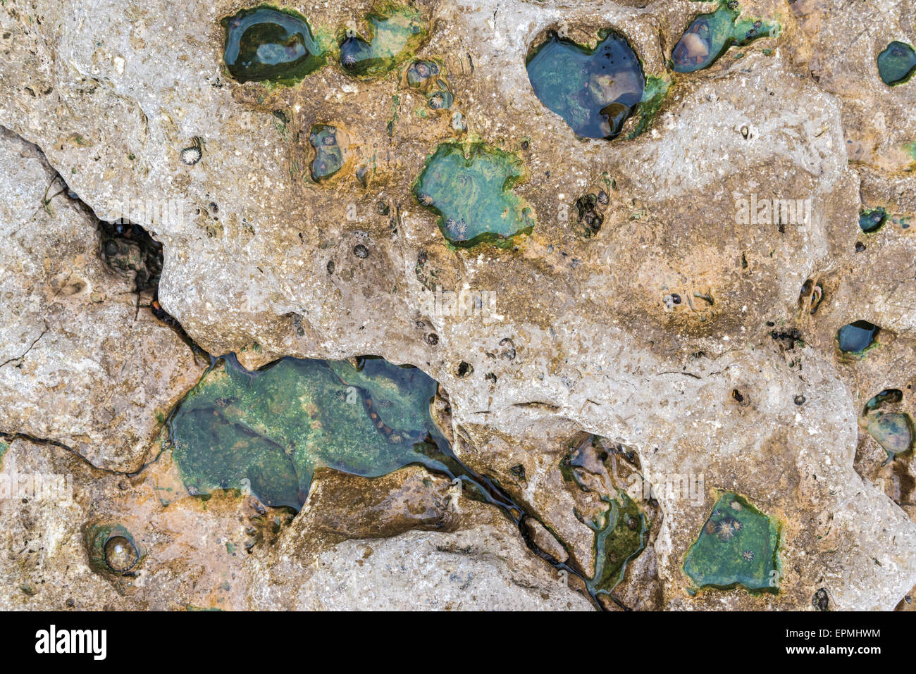 Shell rocks hi-res stock photography and images - Alamy