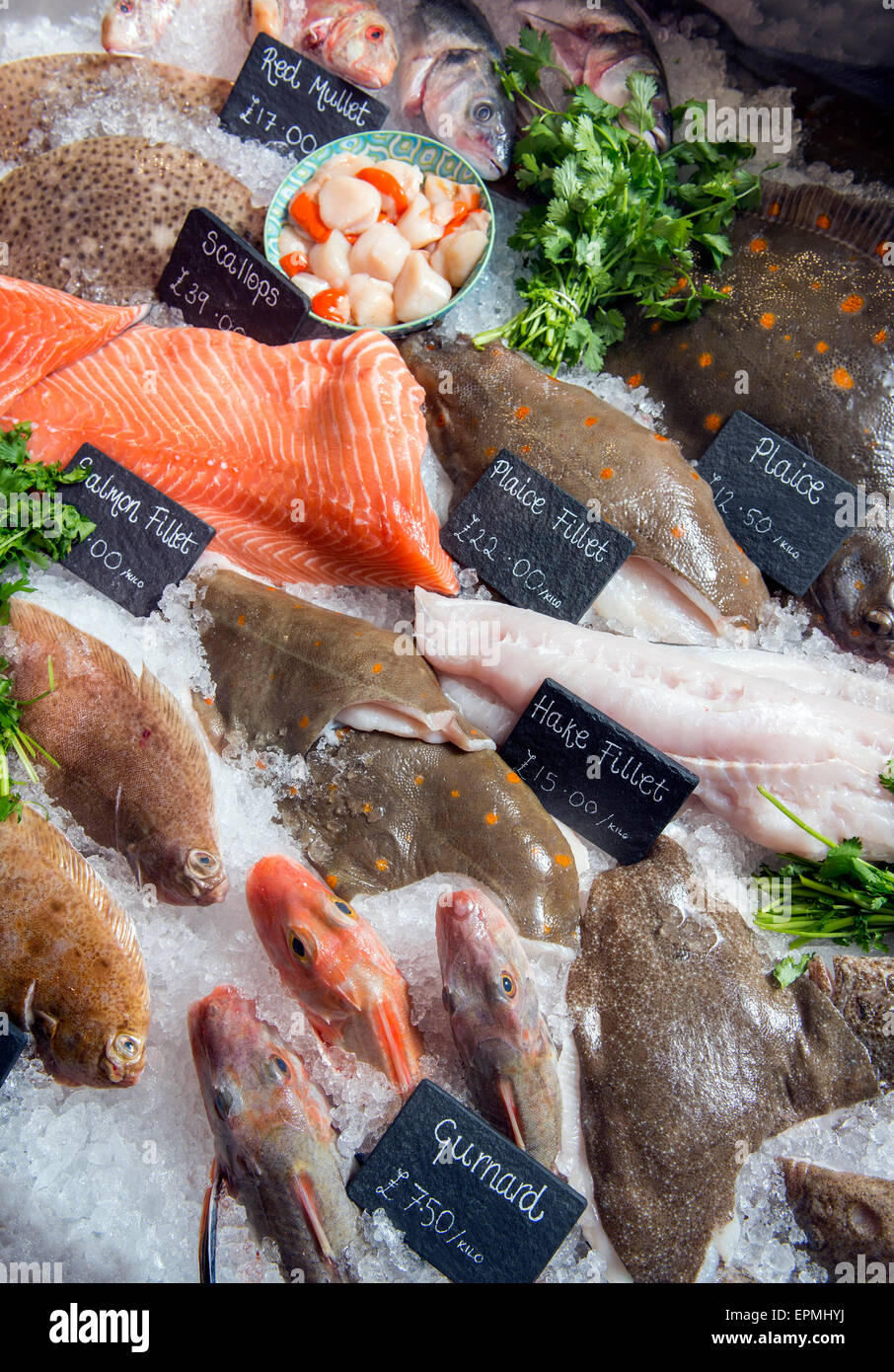 A selection of fresh fish including Plaice, Hake and Gurnard on a ...