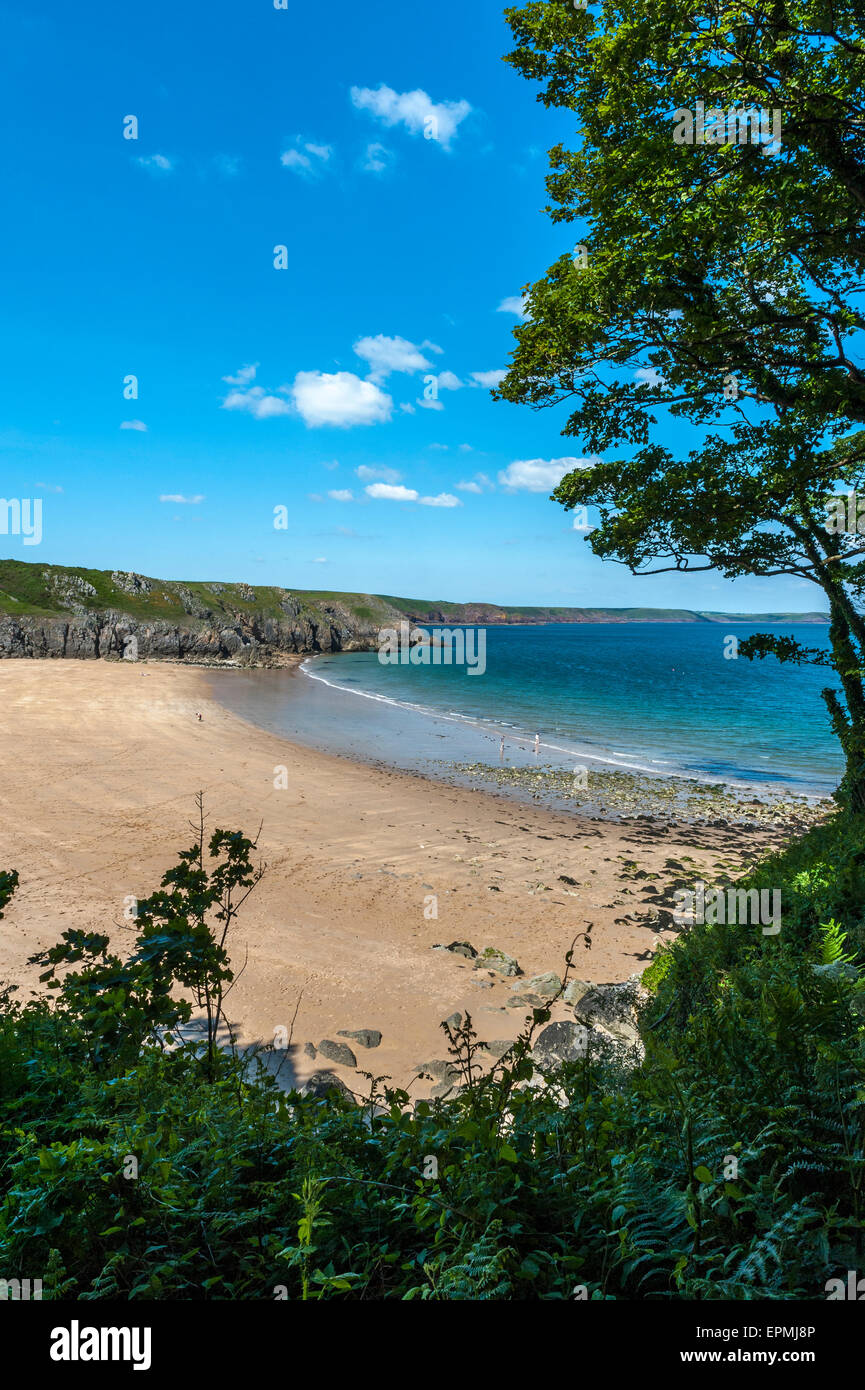 Barafundle Bay. Pembrokeshire. Wales. Cymru. UK. United Kingdom Stock ...