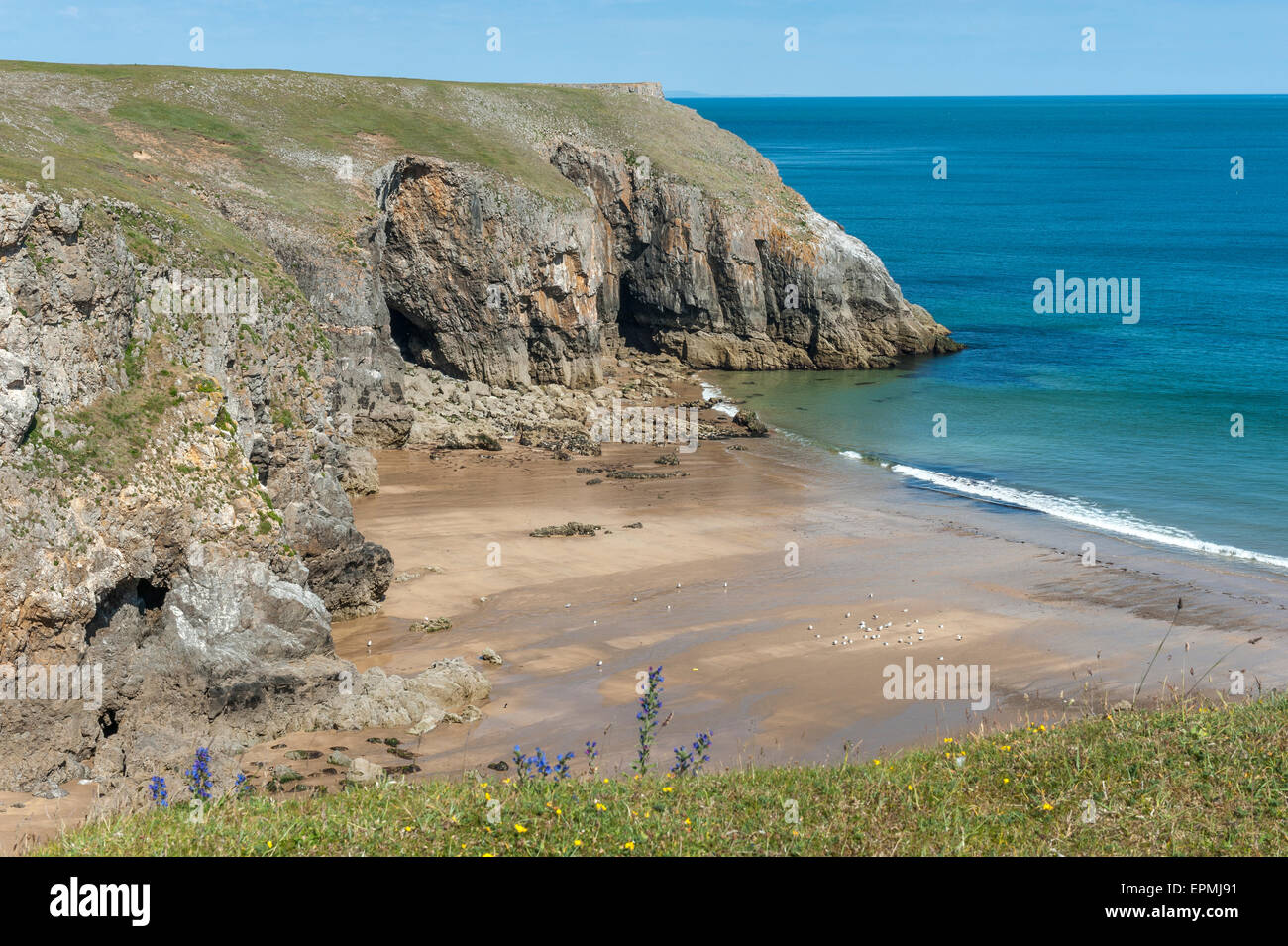 Pembrokeshire Coast National Park. Stackpole Estate. Pembrokeshire ...