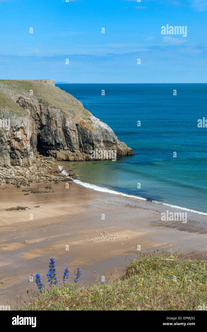 Box Bay. Pembrokeshire Coast National Park. Stackpole Estate ...