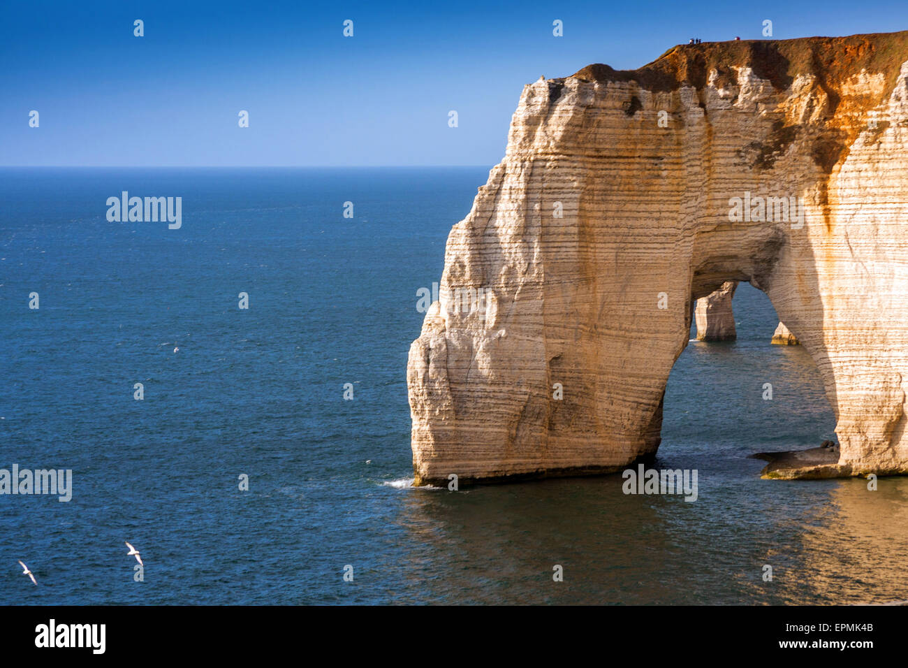 Falaise d'Amont cliff at Etretat, Normandy, France, Europe Stock Photo ...