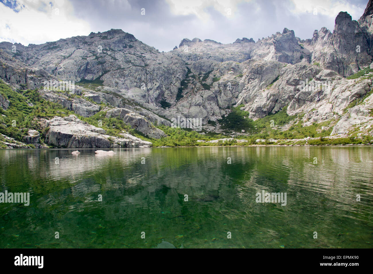 Melu hi-res stock photography and images - Alamy