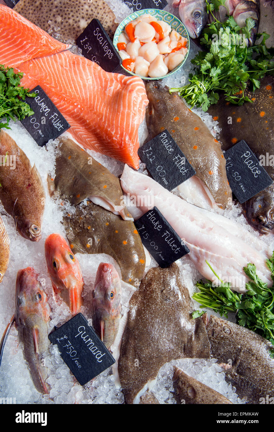A selection of fresh fish including Plaice, Hake and Gurnard on a ...