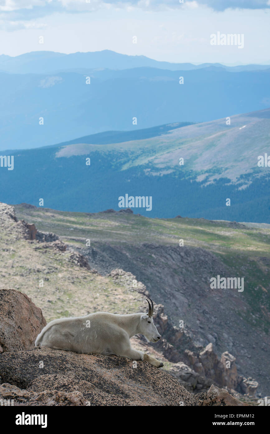 Colorado life zones hi-res stock photography and images - Alamy