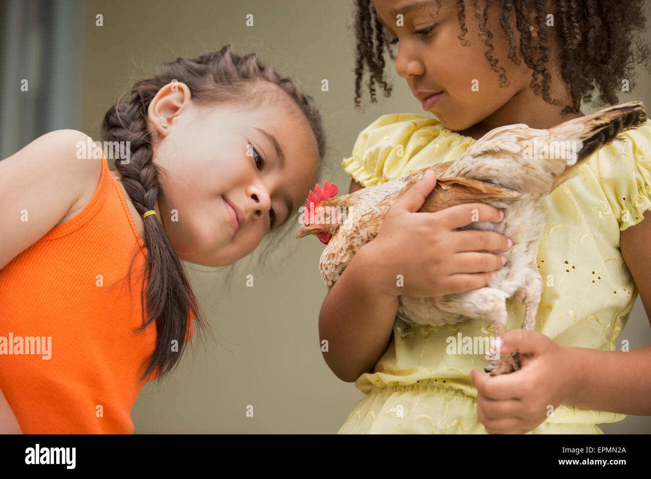 Two young girls, one holding a chicken in her arms Stock Photo - Alamy