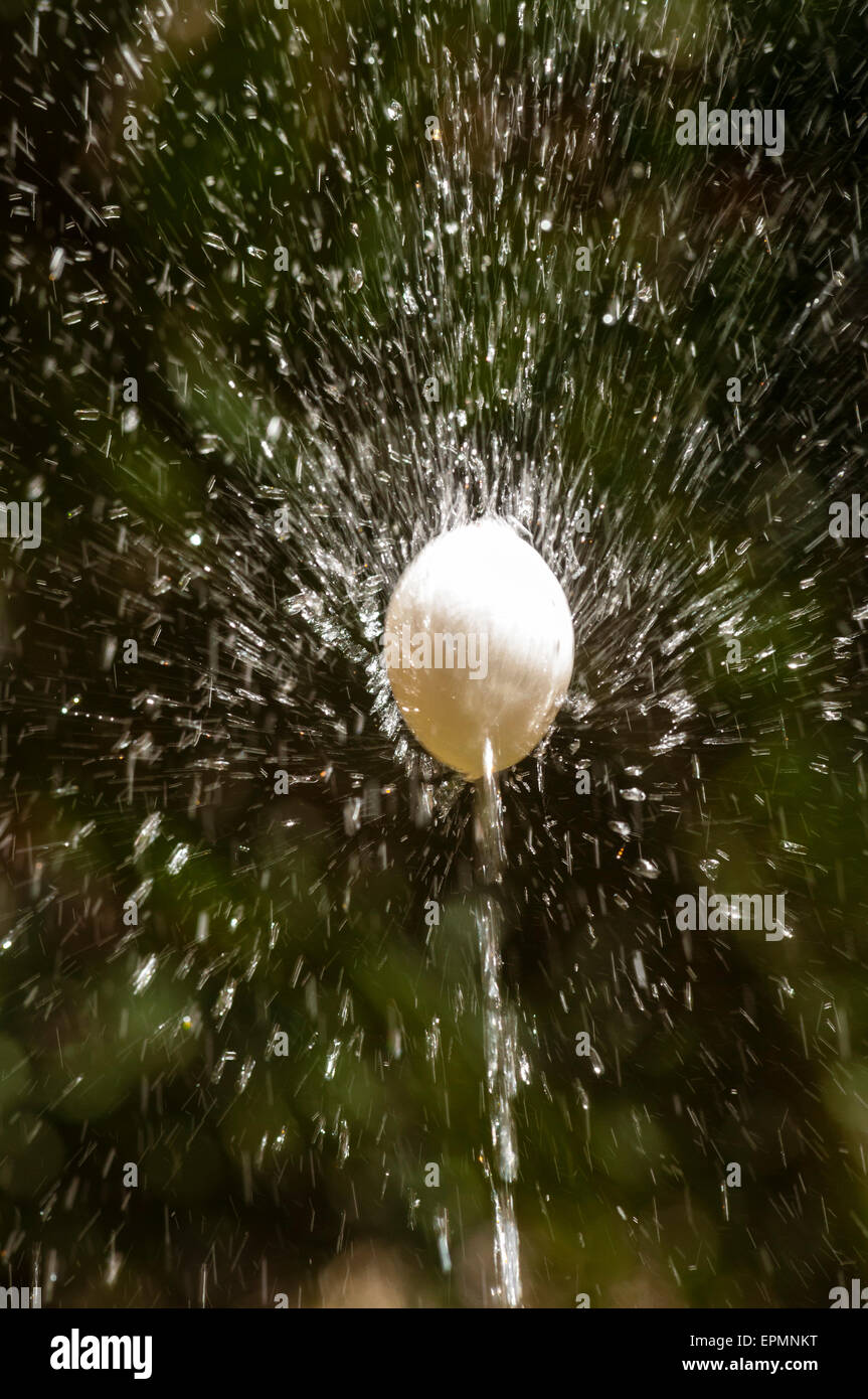 The egg as it dances, L'ou com balla, Corpus Christi Celebration ...