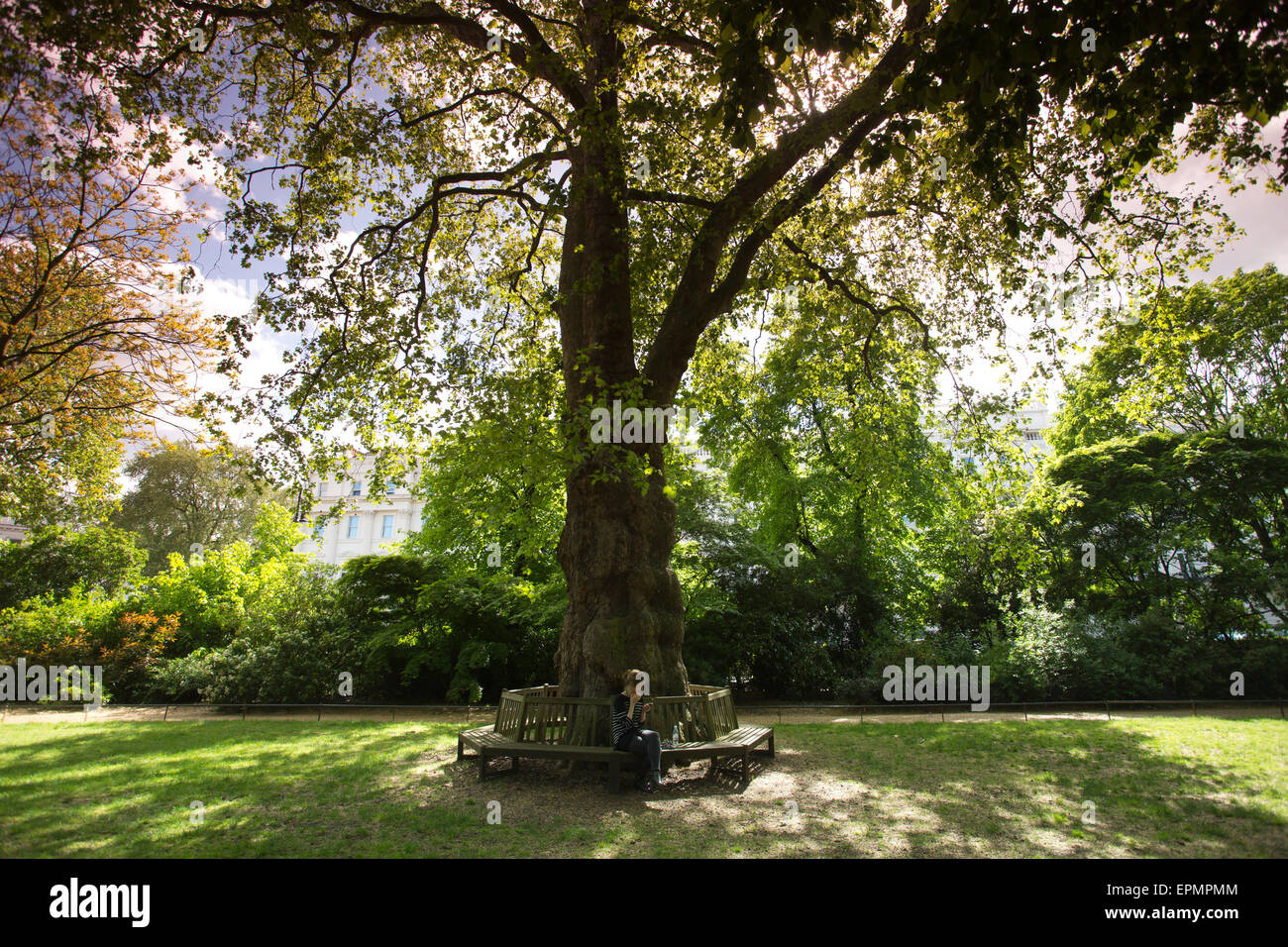 Belgrave Square Garden, Grosvenor Estate, Belgravia, London, England ...
