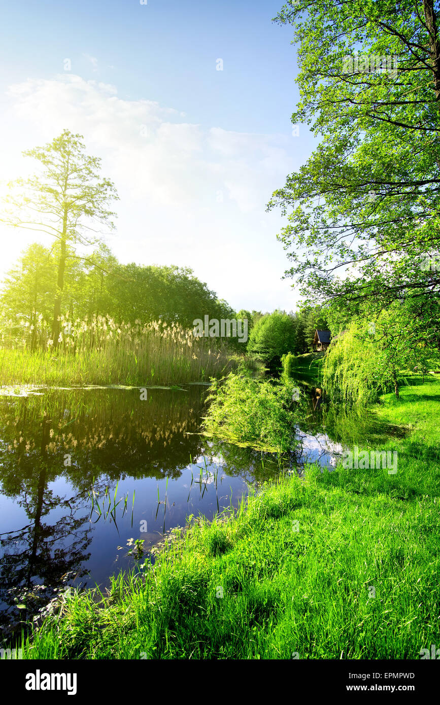 Calm river and green forest at sunrise Stock Photo - Alamy