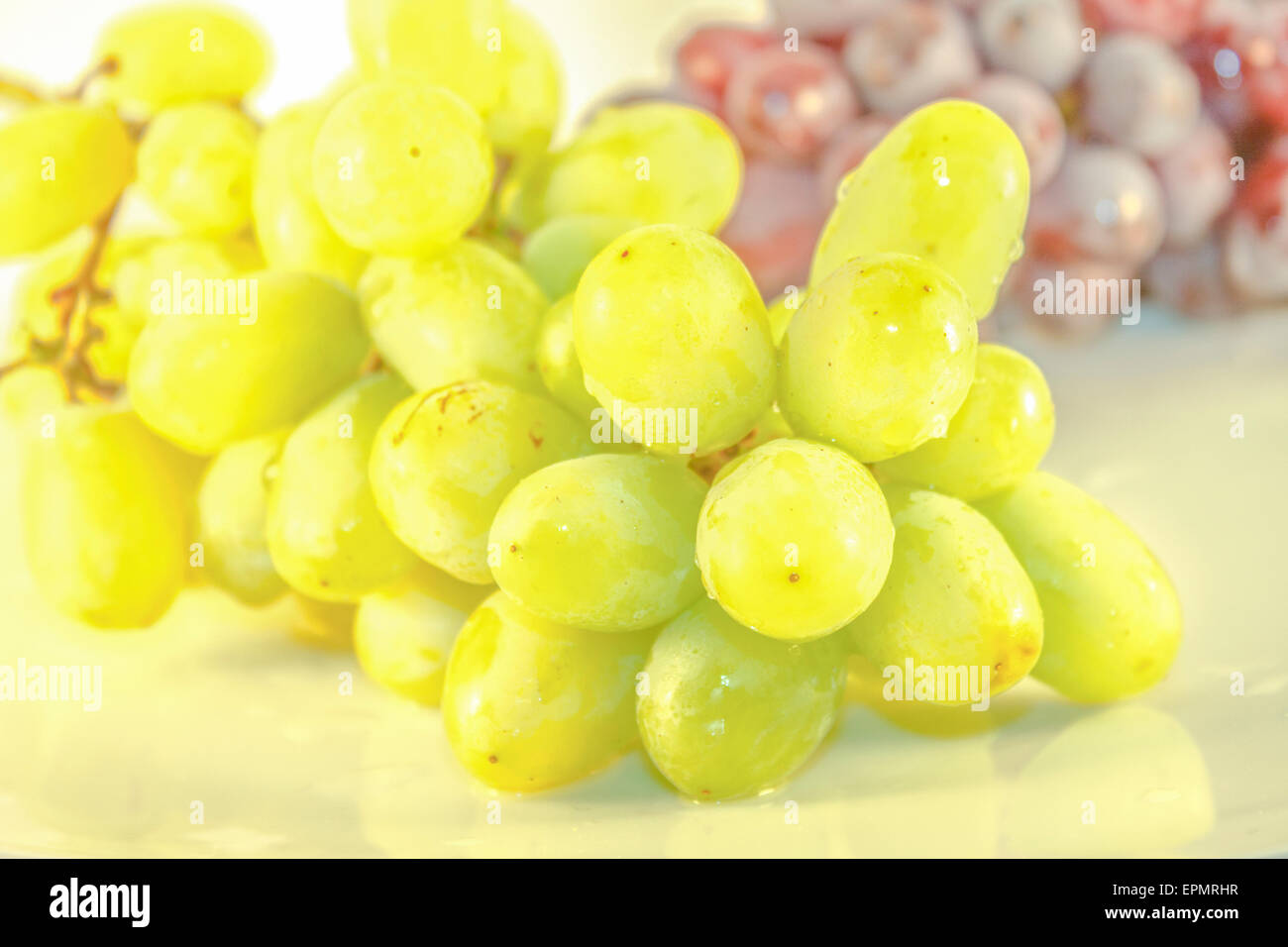 Pile of grapes hi-res stock photography and images - Alamy