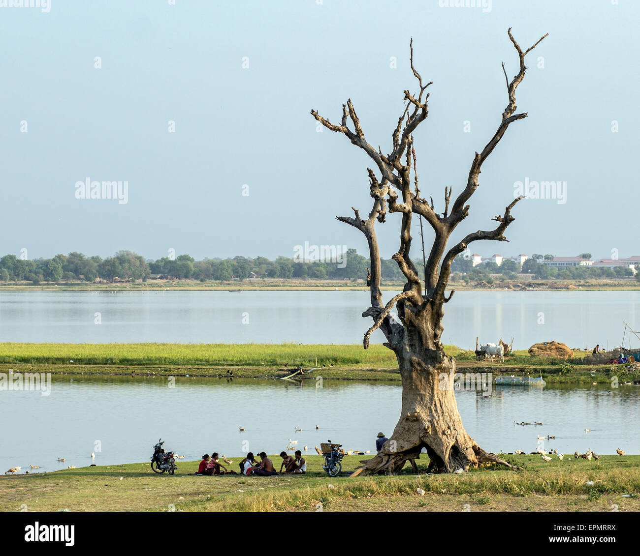 Myanmar nature hi-res stock photography and images - Alamy